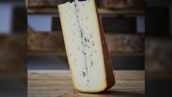What to Look for When Choosing a Cheese Supplier – Rennet & Rind