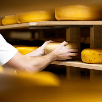 Cheese Care: How to Look After, Store and Serve Your Cheese – Rennet & Rind