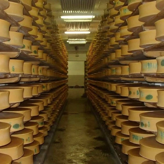 Americas Hidden Cheddar Reserve – Rennet & Rind