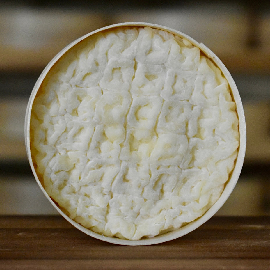 St Cera – Rennet & Rind