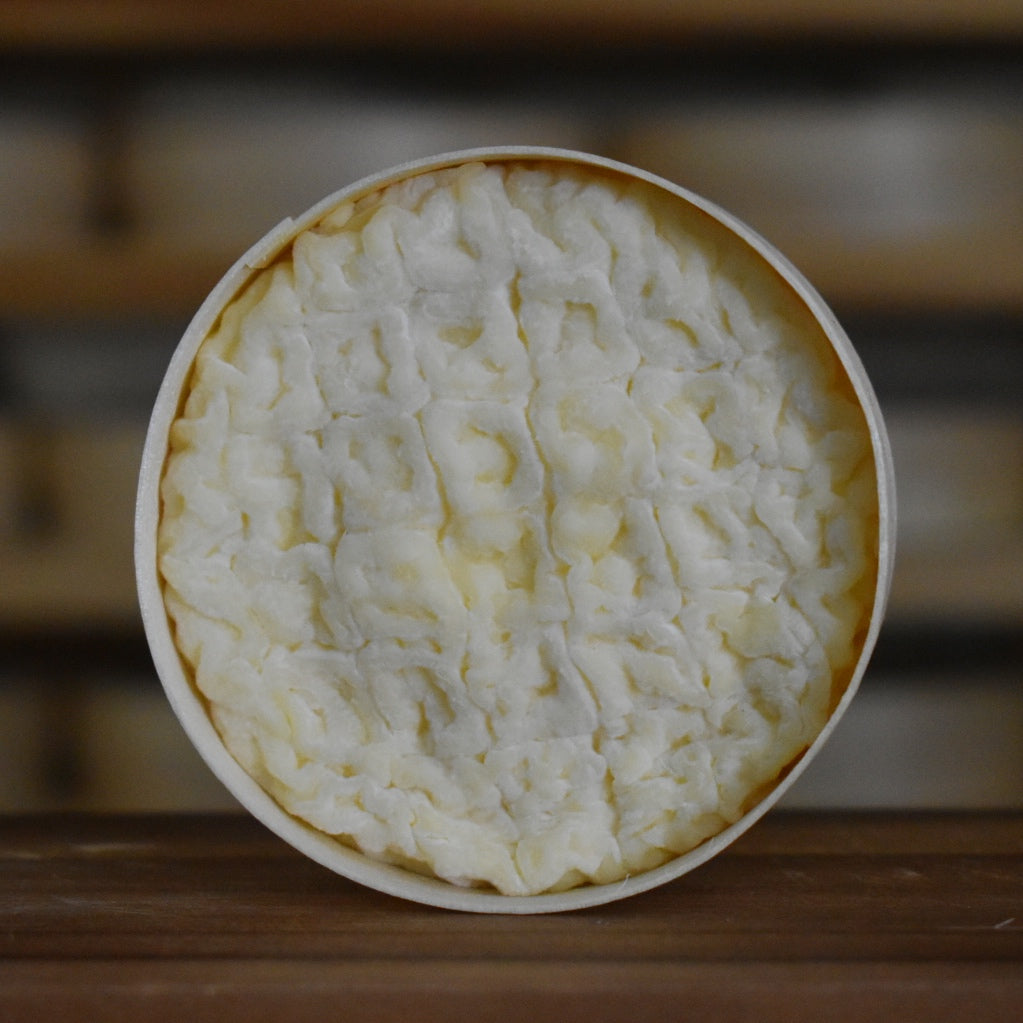 St. Jude - Seasonal Soft Ripened Cheese | Rennet & Rind